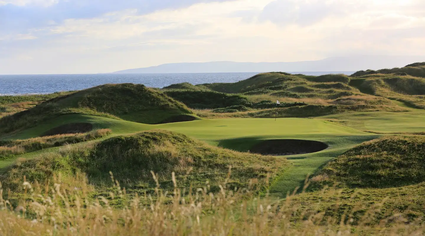 Open Championship Longshots & Barracuda Tips 2024 - Golf Betting System